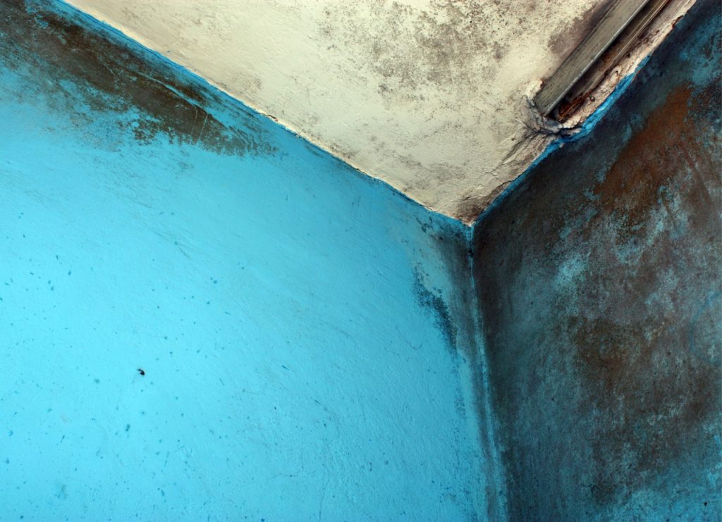 Dinding rumah lembab dan berjamur? Begini cara mengatasinya, dijamin ...